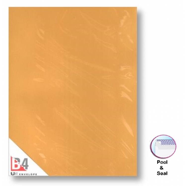 EP-ENVB4 Envelope B4